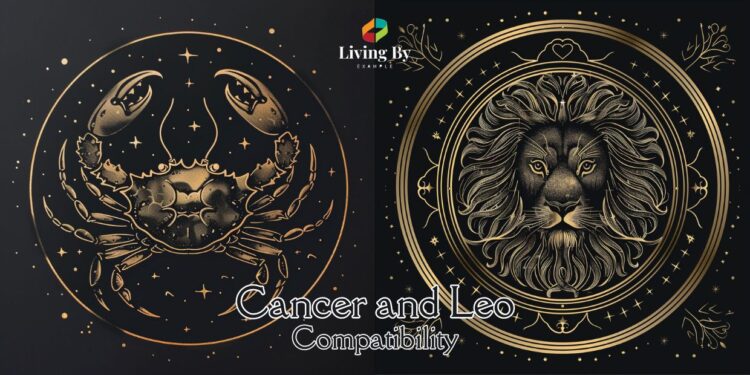 Cancer and Leo: Compatibility Insights and Analysis